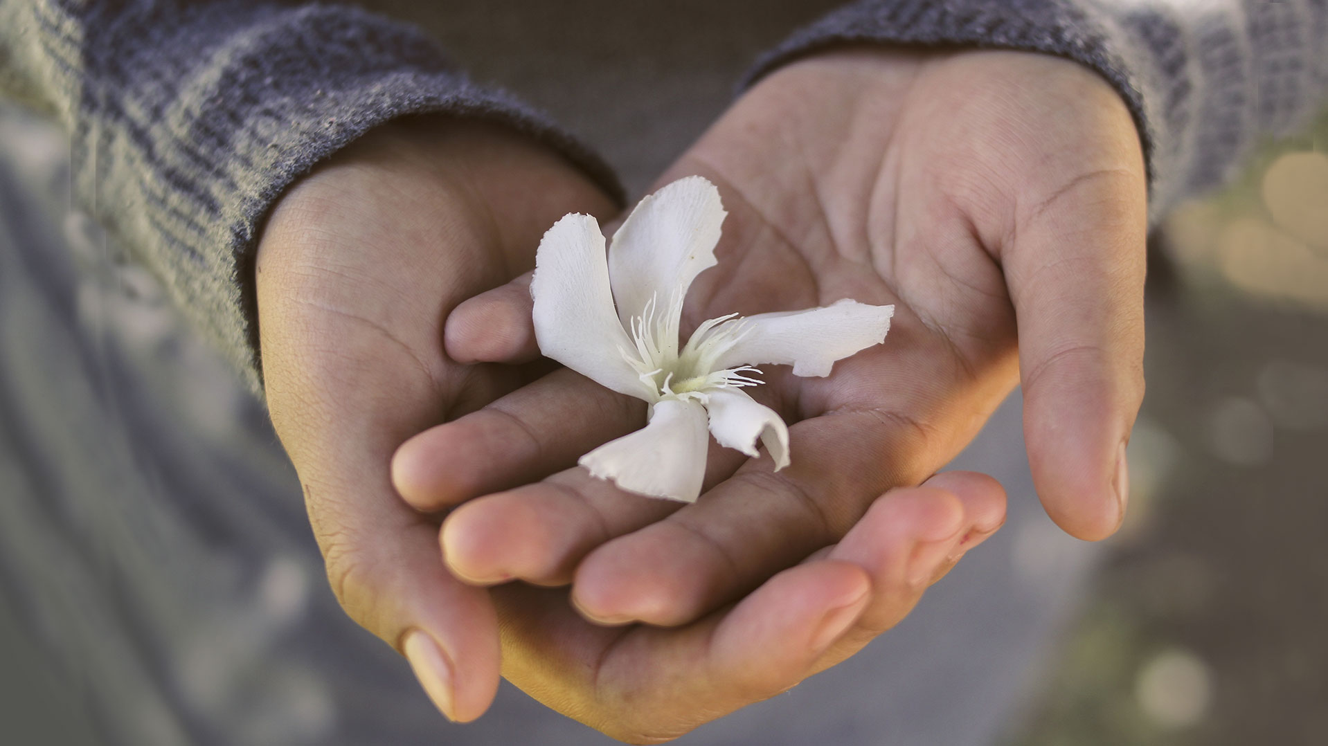 PMS Archives - Well Woman Acupuncture